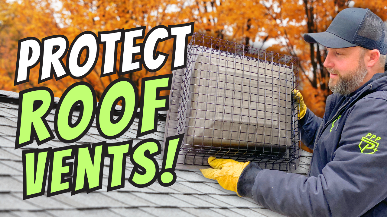 Protect Your Home: Plastic Roof Vents and Wildlife Damage
