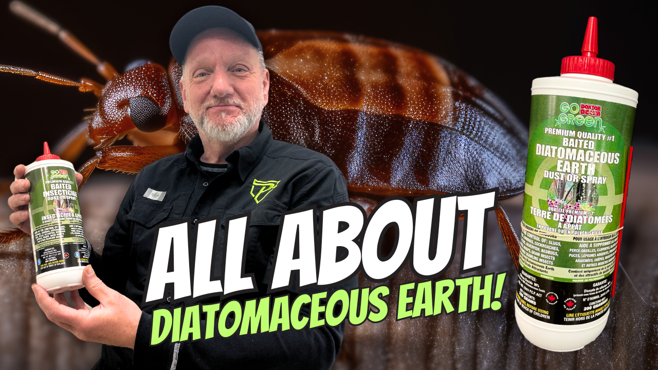 Natural Pest Control: Diatomaceous Earth (DE) Powder